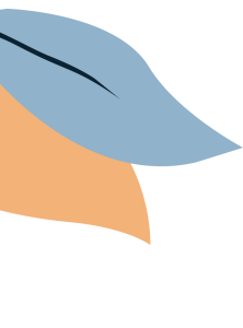 Using the MDAT - Malawi Development Assessment Tool